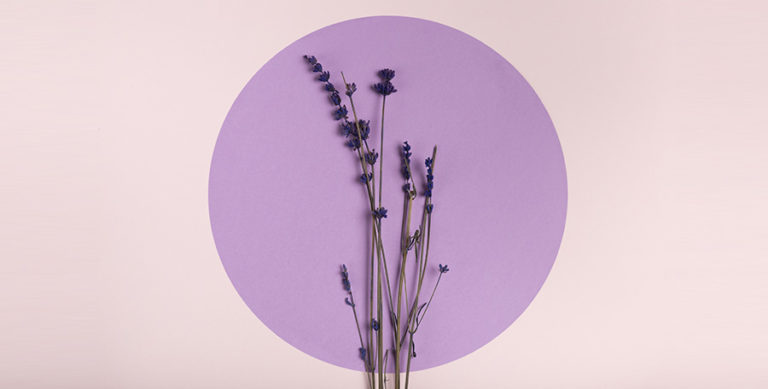 Color Lavanda: significato, pantone, pareti e arredamento